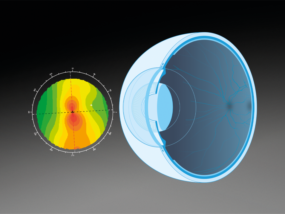 Biometrie